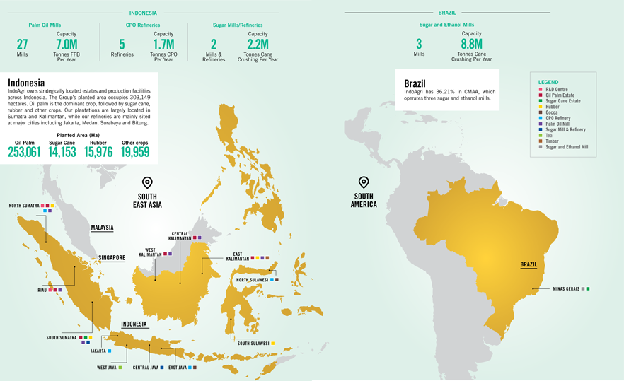 IndoAgri :: About Us