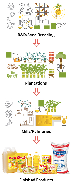 IndoAgri :: About Us